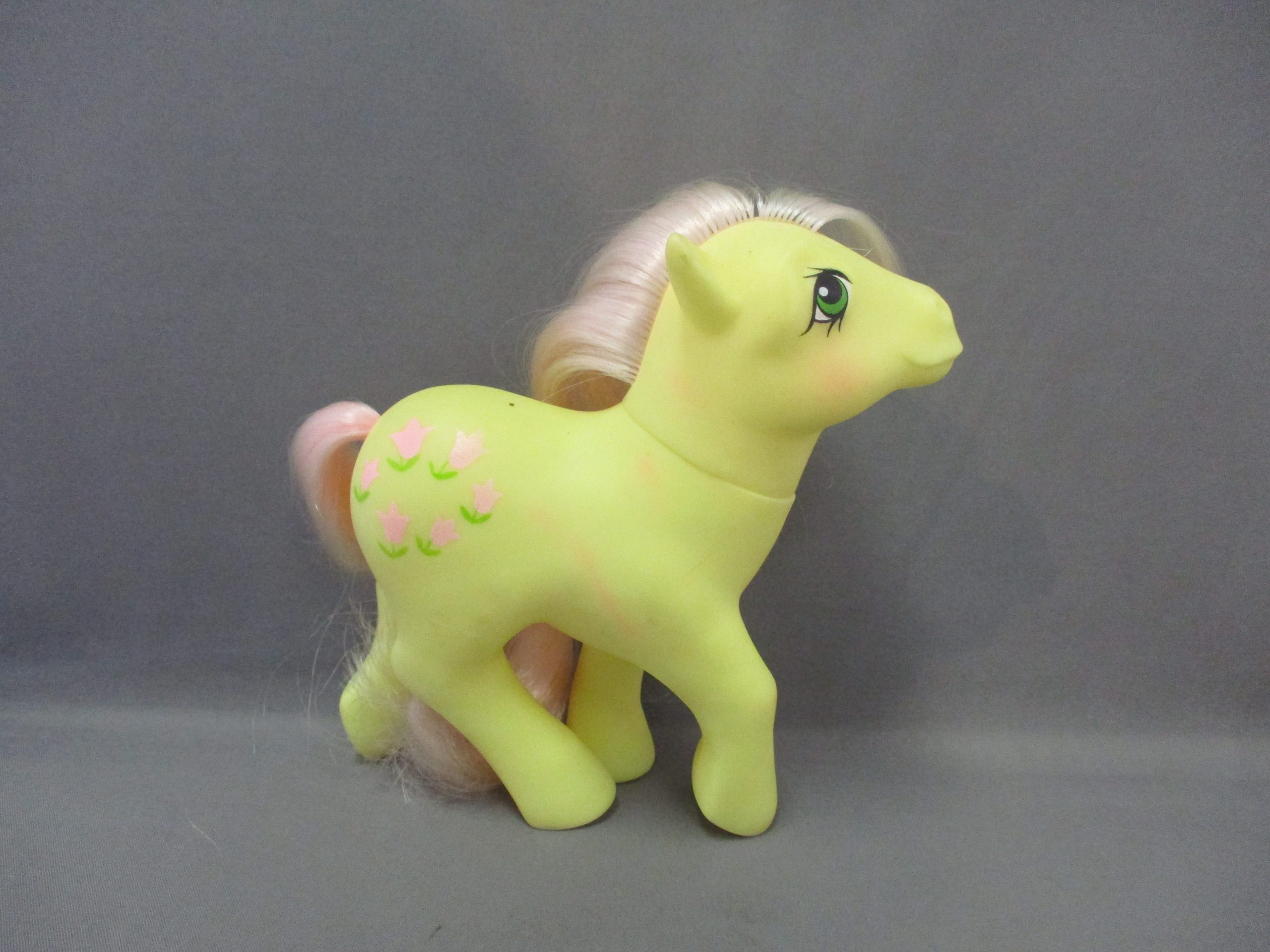 My Lil Pony G1 Year 3 Earth Ponies Posey – Crowemag Toys